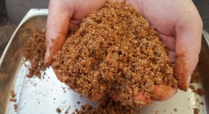 Svaneti | Georgian Recipes